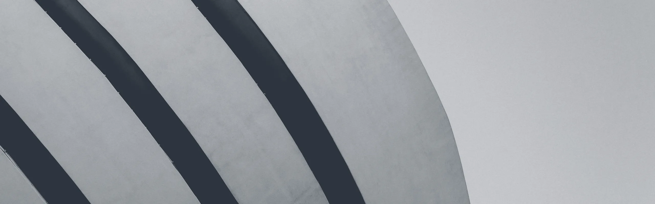 Complex Systems Society